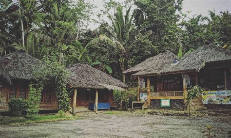 Kampung Adat Kuta Di Ciamis Atourin
