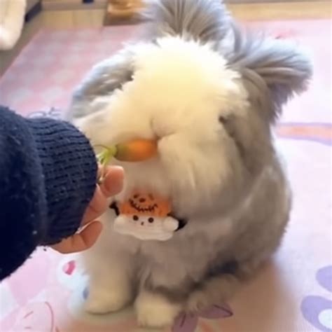 잡담 얘들아 배우 좀 찾아줘 집단지성의 힘 ㅜㅜㅜ 인스티즈instiz 드영배 카테고리