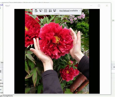 Image Memory Leak · Issue 2190 · Microsoftmicrosoft Ui Xaml · Github
