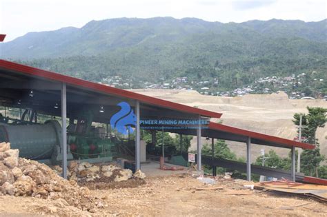 Copper Flotation Plant Pineer Mining Machinery