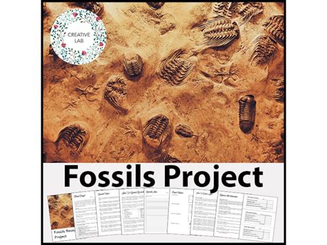 Fossil Research Project PBL Printable Teaching Resource No Prep Classroom Project Based