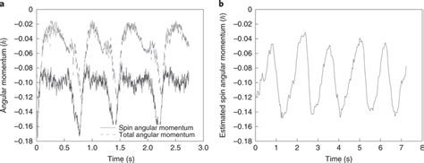 Comparison Of Spin Angular Momentum Determined From Simulation And Download Scientific Diagram