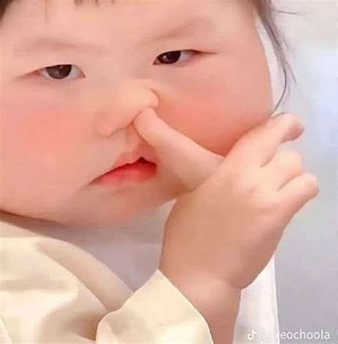 Товуухоролын Өглөөний мэнд хөөрхөн хөвсгөрчүүд ээ Өнөөдрөөс эхлээд бүгдээрээ хамтдаа багахан