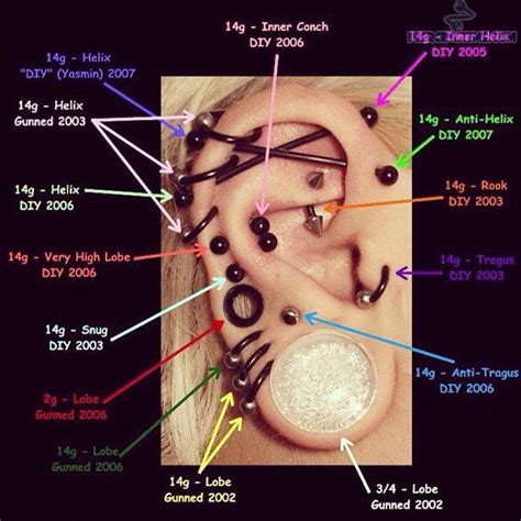 Charts Ears Piercings Bodyart Bodymodification Ear Piercings