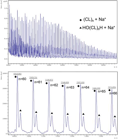 Pillared Mofs Structure And Ring Opening Polymerization Of Cyclic Esters Crystengcomm Rsc