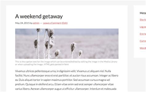 How To Display Featured Image With Caption On Single Posts In Genesis Sridhar Katakam