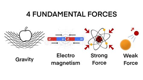 Four Fundamental Forces Stock Illustrations 36 Four Fundamental