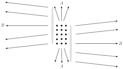 Information Processing Pure State Quantum Thermalization From Von Neumann To The Lab