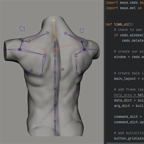 ArtStation Advanced Clavicle Rig Python Script Rigs Blender Tutorial Body Anatomy