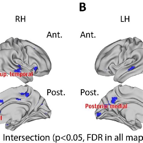 Robust Neural Alignment Effects In Medial And Temporal Cortical Regions
