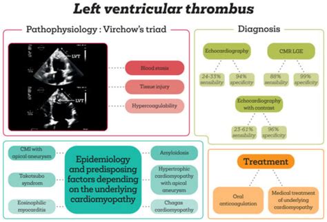 Emerging Trends In Left Ventricular Thrombus A Comprehensive Review Of