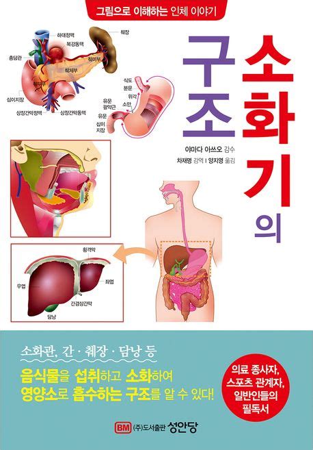 소화기의 구조 야마다 아쓰오 교보문고