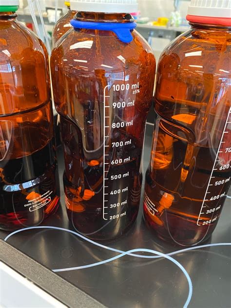 Anchor For Hplc Solvent Bottles R Labrats