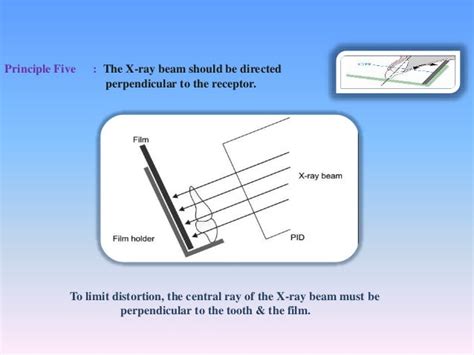 Principles Of Shadow Casting