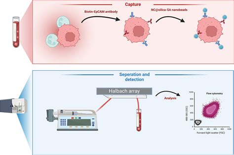Febs Letters Vol 599 No 5