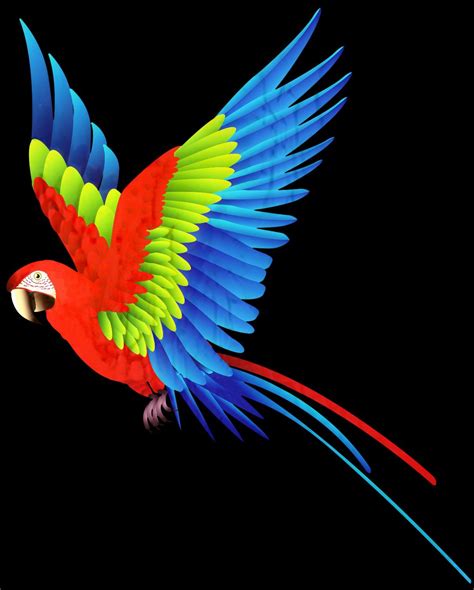 Background Biru Putih Flash Joseph Brown