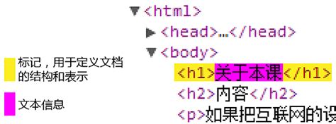 网页设计