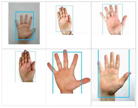 Cv4faces Best Project Award 2018 Learnopencv