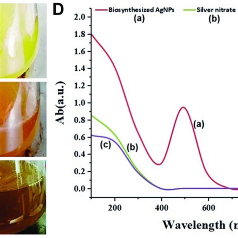Dls A And Zeta Potential B Distribution Of Biosynthesized Agnps