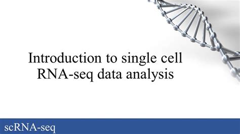 Scrna Seq Introduction To Single Cell Rna Seq Data Analysis Youtube