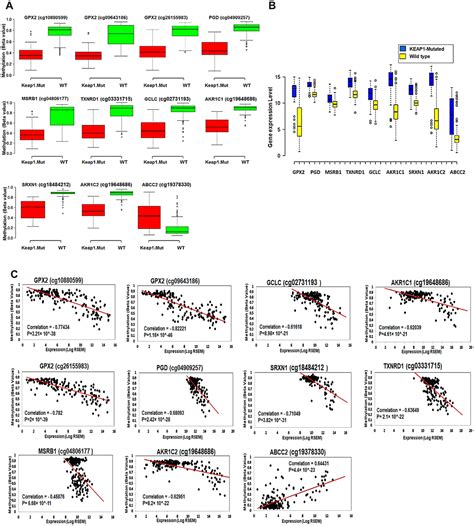 Integrated Data Analysis Reveals Significant Associations Of Keap1