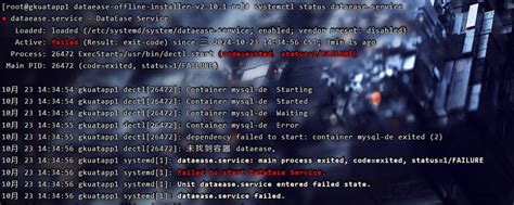 请问离线版安装报错启动不了mysql De怎么解决呢 Dataease 社区论坛 Fit2cloud 飞致云