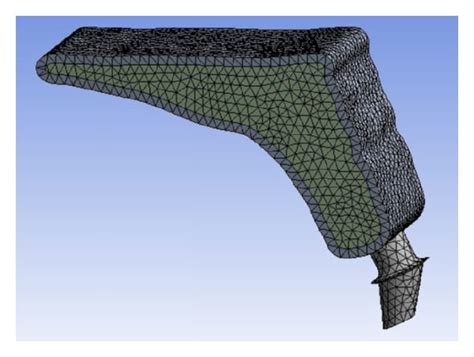 Simplified Patient Specific Models A Cone Beam Computerized Tomography Download Scientific