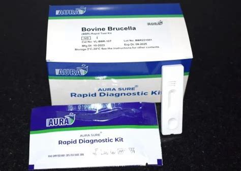Bovine Brucella Antibody Rapid Test At ₹ 350piece Veterinary Test