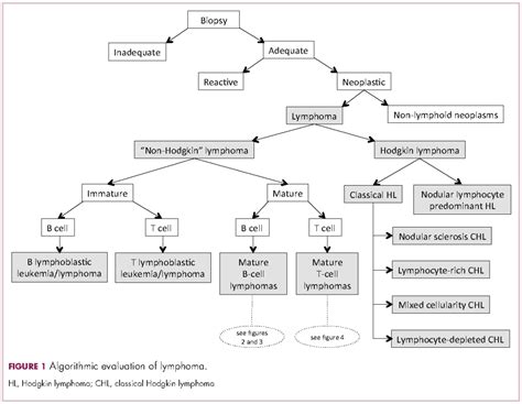 How To Diagnose Lymphoma Contestgold8