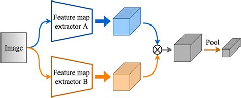 Schematic Diagram Of Bilinear Pooling Model Conducive To Capturing The