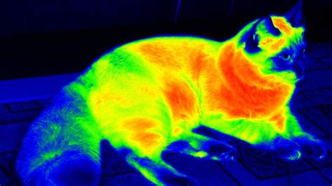 Under The Right Conditions Humans Can See Infrared