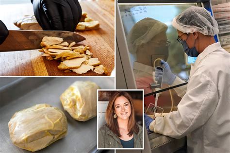 Nutritionist Slams New Lab Grown Meat Rather Eat My Shoe