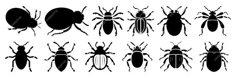 Premium Vector Insect Bug Icon Silhouettes Set Large Pack Of Vector