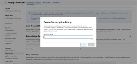 App Store Ios Subscription Groups Explained