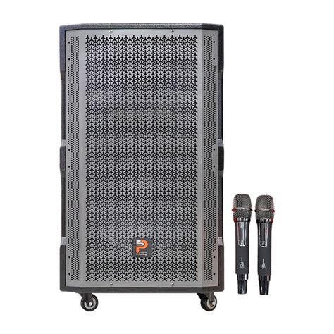 Loa KÉo Di ĐỘng Prosing 18 Dienmaycuongvn