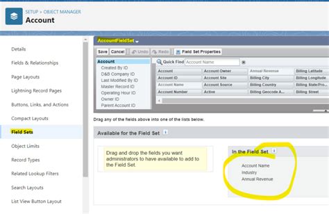 Salesforce Field Sets How To Create Field Sets And Use Field Sets In Apex Visualforce And Lwc