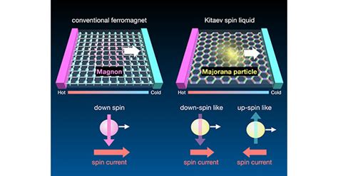 Demonstration Of Waveguide Multiplexed Silicon Photonic Matrix