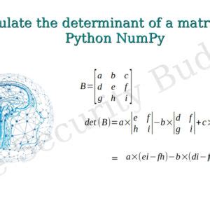 How To Calculate Eigenvalues And Eigenvectors Using Python The Security Buddy