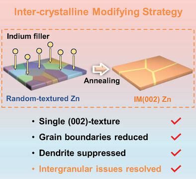 晶界填充使 织构的锌金属阳极具有卓越的稳定性 Advanced Materials X MOL