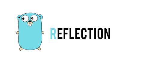 Go 的反射包 Reflect Mozarts Sheet