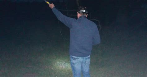 Bat Tracking Methodologies Conference Conferences And Symposia Bat