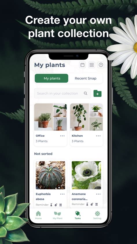 Leafsnap Plant Identification Para Iphone Download