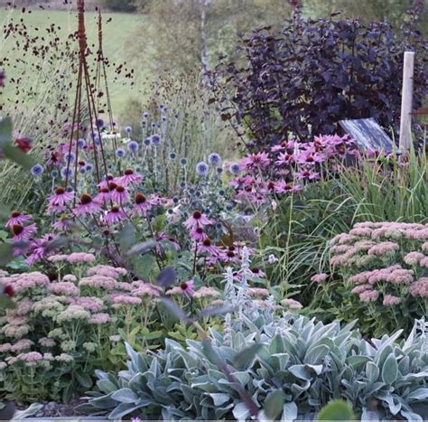 Pin by Афанасьева Анастасия on Garden Ideas | Garden landscape design ...