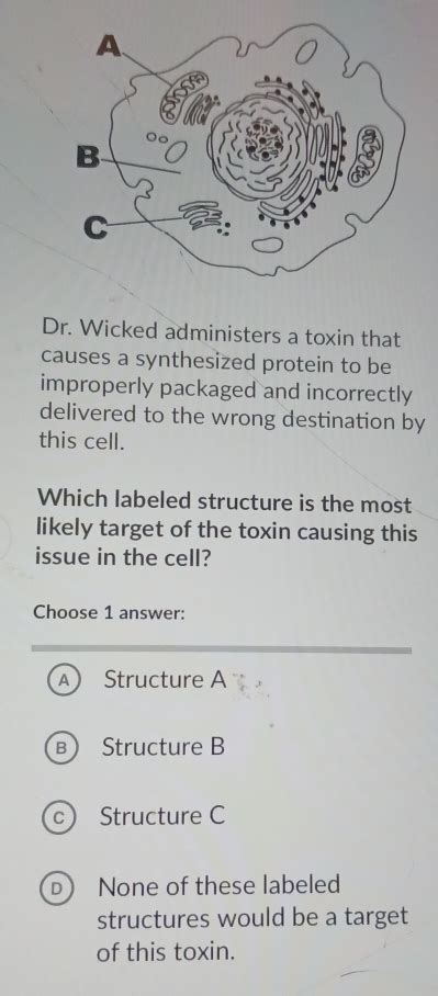 Solved A B C Dr Wicked Administers A Toxin That Causes A Synthesized