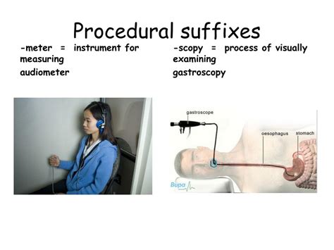 Ppt Introduction To Medical Terminology Powerpoint Presentation Free