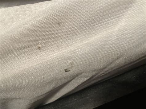 Black Stain On Box Spring Cover Not Sure If Bed Bug Marks Or Not