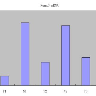 RT PCR Analyses Of Runx MRNA Expression In Primary Gastric Cancer Download Scientific Diagram