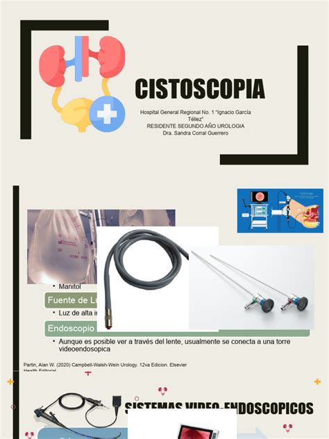 Cistoscopia 1 Pptm Descargar Gratis Pdf Especialidades Medicas Medicina Clinica