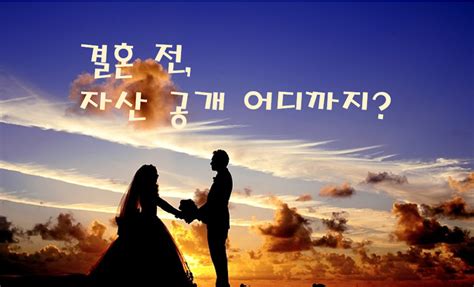 결혼 전 배우자에게 공개할 자산 범위는