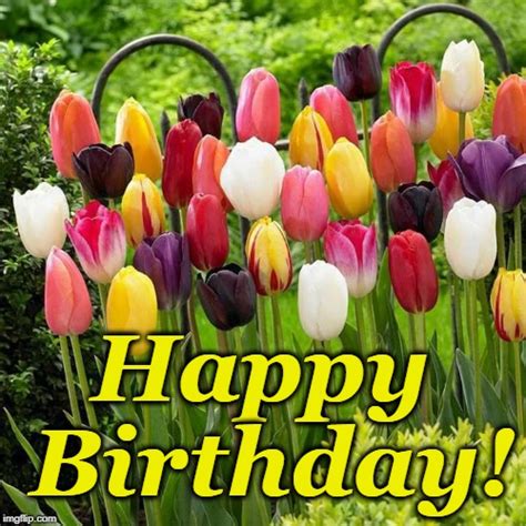 Happy Birthday Flowers Meme Happy Birthday Memes